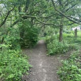 Old Pale Hill and Delamere Forest, Cheshire, England - 1,032 Reviews ...