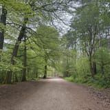Old Pale Hill and Delamere Forest, Cheshire, England - 1,041 Reviews ...