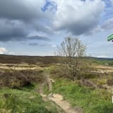 Bronte Waterfalls Circular, West Yorkshire, England - 869 Reviews, Map ...