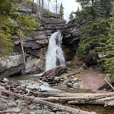 Sun Point Nature Trail, Montana - 418 Reviews, Map | AllTrails