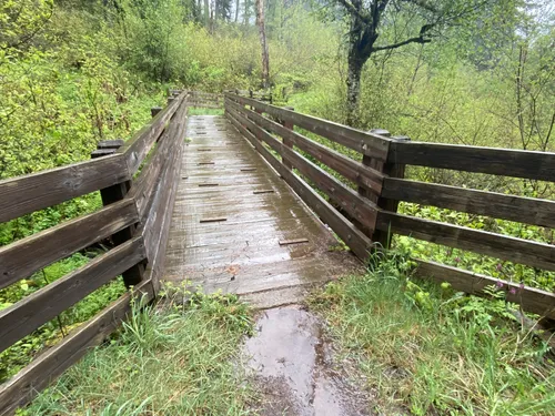 Best Waterfall Trails in Yacolt Burn State Forest | AllTrails