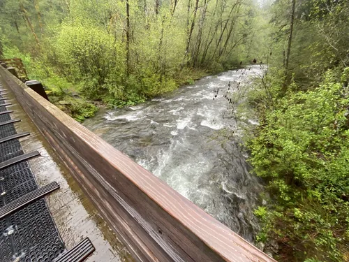 Best Waterfall Trails in Yacolt Burn State Forest | AllTrails