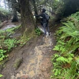 Clatsop Loop Trail from Indian Beach, Oregon - 2,688 Reviews, Map ...