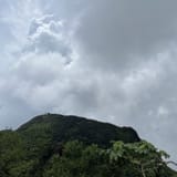 Mount Britton Tower Trail, Puerto Rico - 1,823 Reviews, Map | AllTrails