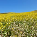 Kehoe Beach Trail, California - 337 Reviews, Map | AllTrails