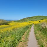 Kehoe Beach Trail, California - 314 Reviews, Map | AllTrails