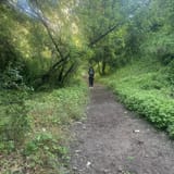 Temescal Canyon Trail, California - 10,193 Reviews, Map | AllTrails