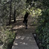 Father Junipero Serra Trail California 3 091 Reviews Map Alltrails