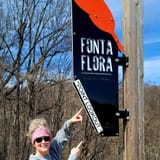 Point Lookout Trail, North Carolina - 609 Reviews, Map | AllTrails