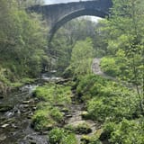 Beamish Park and Causey Arch Circular, County Durham, England - 461 ...