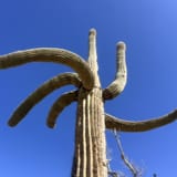 Gateway Loop Trail, Arizona - 11,749 Reviews, Map | AllTrails