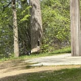 Abraham Lincoln Park White Trail, New York - 1,640 Reviews, Map | AllTrails