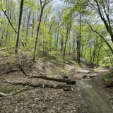 Abraham Lincoln Park White Trail, New York - 1,640 Reviews, Map | AllTrails