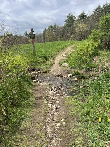 Best Forest Trails in Pulpit Rock Conservation Area | AllTrails