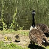 Puddingstone Reservoir Lake View and Park Trail Loop, California - 610 ...