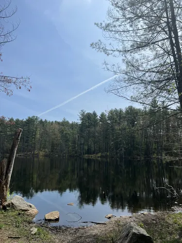 Best Trail Running Trails in Upton State Forest | AllTrails