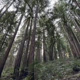 Tres Sendas Trail, California - 276 Reviews, Map | AllTrails