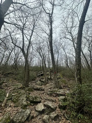 Best Views Trails in Mount Riga State Park | AllTrails