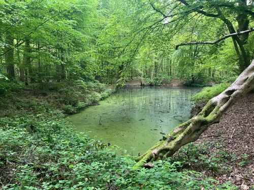 Best Partially Paved Trails in Trent Park | AllTrails