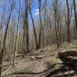 Mount Arab Trail, New York - 2,219 Reviews, Map | AllTrails