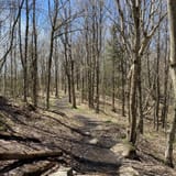 Mount Arab Trail, New York - 2,219 Reviews, Map | AllTrails