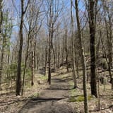 Mount Arab Trail, New York - 2,219 Reviews, Map | AllTrails