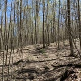 Mount Arab Trail, New York - 2,219 Reviews, Map | AllTrails