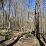 Mount Arab Trail, New York - 2,219 Reviews, Map | AllTrails