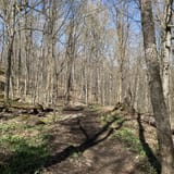 Mount Arab Trail, New York - 2,240 Reviews, Map | AllTrails