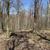 Mount Arab Trail, New York - 2,274 Reviews, Map | AllTrails