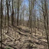Mount Arab Trail, New York - 2,240 Reviews, Map | AllTrails
