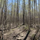 Mount Arab Trail, New York - 2,240 Reviews, Map | AllTrails