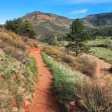 Hall Ranch Loop: Nighthawk to Bitterbrush, Colorado - 409 Reviews, Map ...