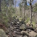Artist Bluff Trail, New Hampshire - 4,497 Reviews, Map | AllTrails