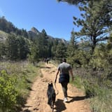 Fowler Trail, Colorado - 2,100 Reviews, Map | AllTrails
