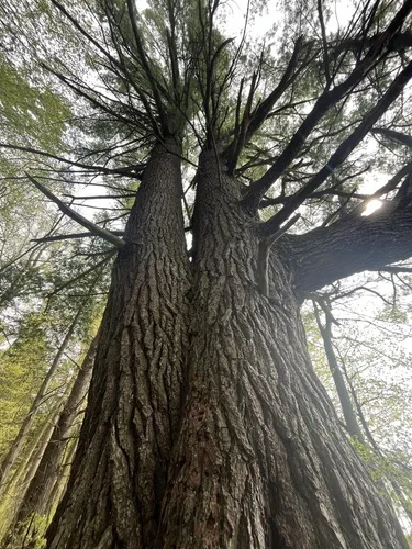 Best Hikes and Trails in Alliston | AllTrails