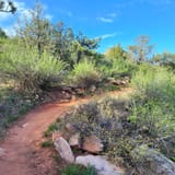 Hall Ranch Loop: Nighthawk to Bitterbrush, Colorado - 409 Reviews, Map ...