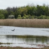 Edgecliff Loop, New York - 260 Reviews, Map | AllTrails