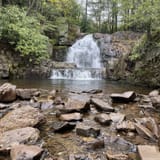 Hawk Falls Trail, Pennsylvania - 2,884 Reviews, Map | AllTrails