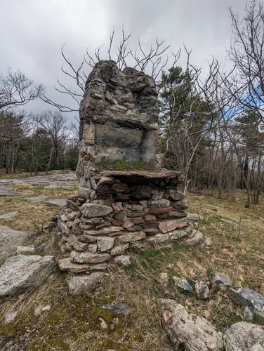 Best Trail Running Trails in Epsom | AllTrails