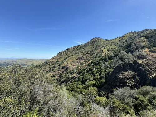 Best River Trails in Mount Diablo State Park | AllTrails