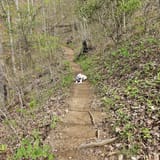 Bartram Trail: Wallace Branch to William's Pulpit, North Carolina ...