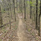 Bartram Trail: Wallace Branch to William's Pulpit, North Carolina ...
