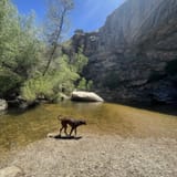 Chiva Falls Trail, Arizona - 356 Reviews, Map | AllTrails
