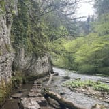 Chee Dale Gorge Circular, Derbyshire, England - 1,403 Reviews, Map ...