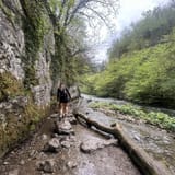 Chee Dale Gorge Circular, Derbyshire, England - 1,403 Reviews, Map ...