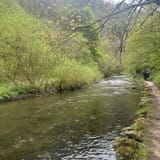 Chee Dale Gorge Circular, Derbyshire, England - 1,403 Reviews, Map ...