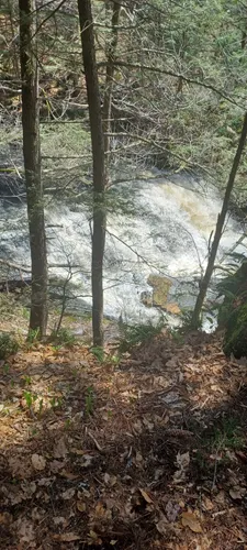 Best Moderate Trails in Tully Lake Recreation Area | AllTrails