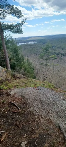 Best Moderate Trails in Tully Lake Recreation Area | AllTrails