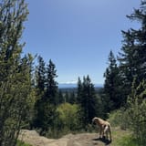 Echo Peak Loop Trail, Washington - 1,667 Reviews, Map | AllTrails